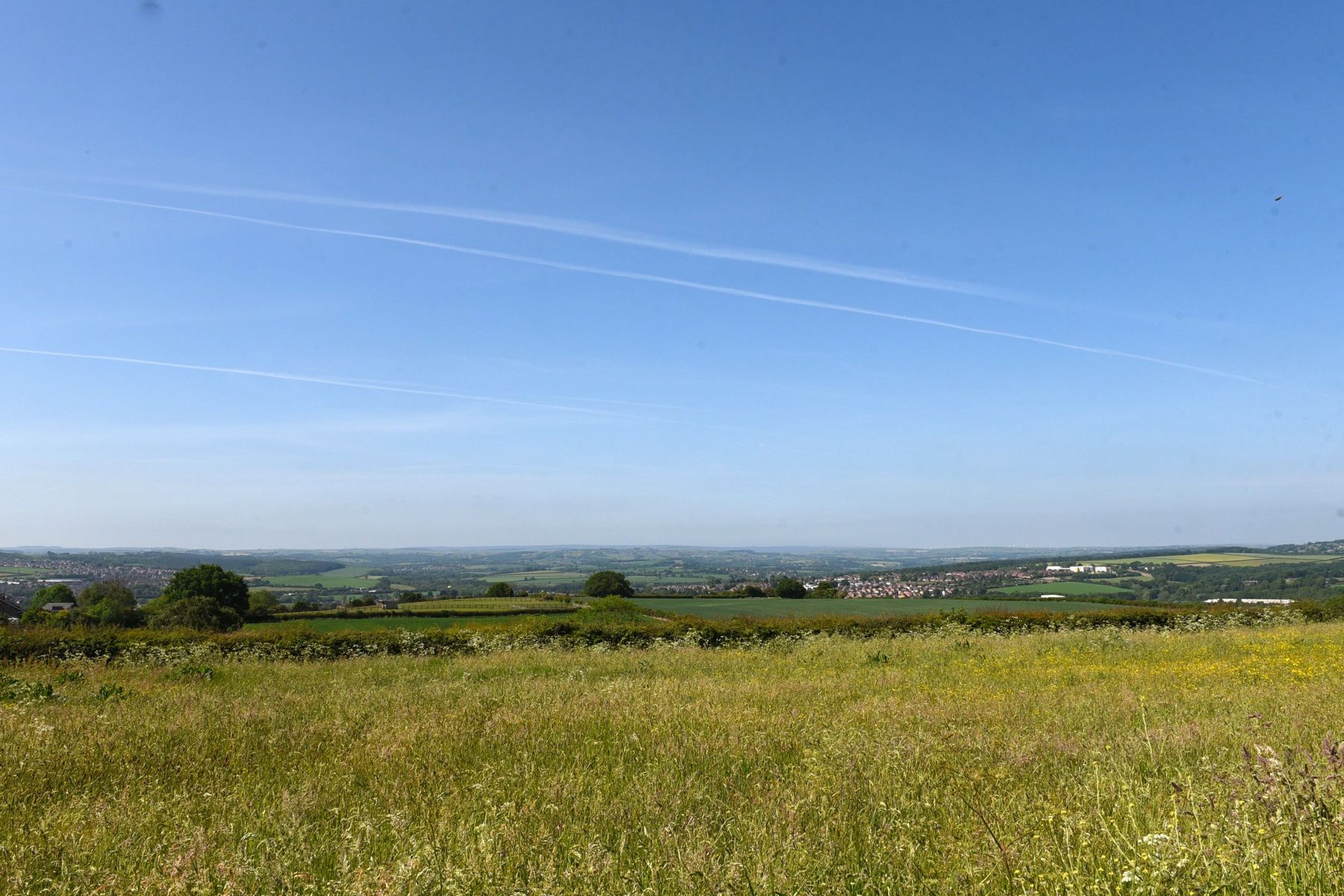 Location Beekeeping Experience