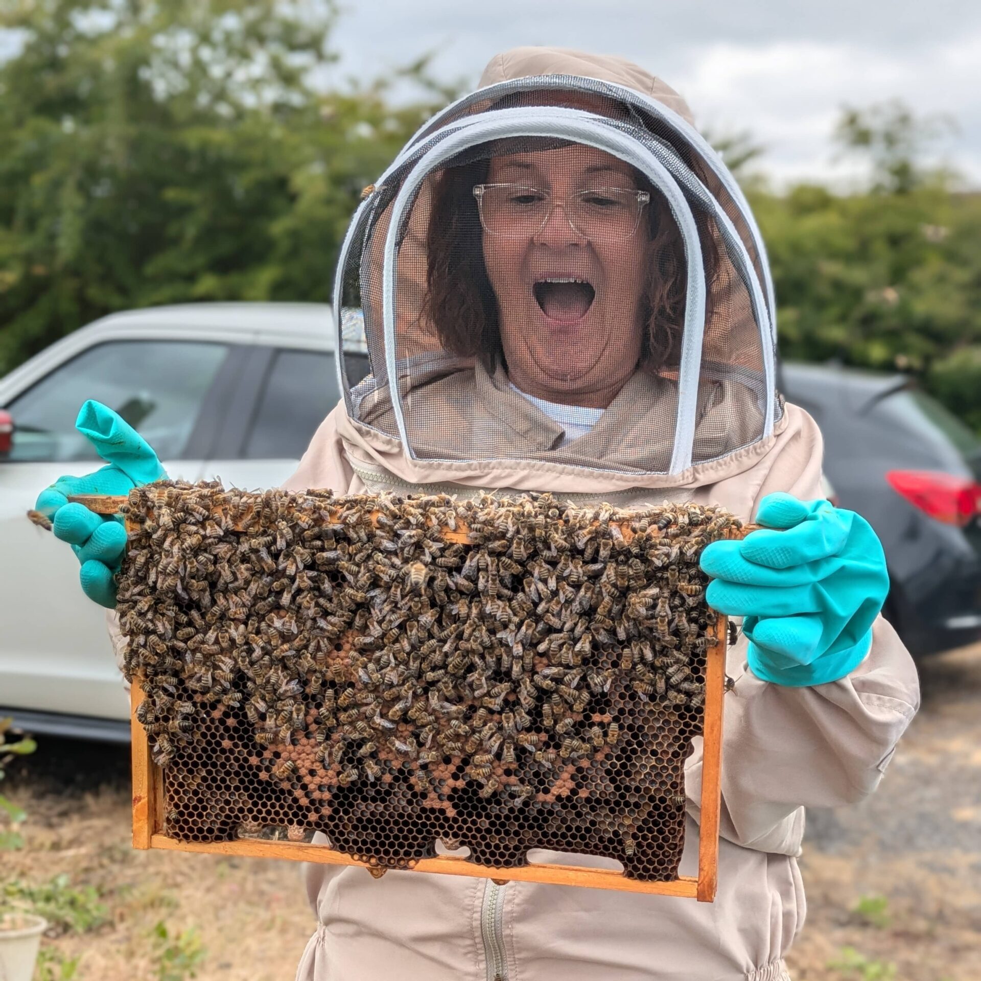 Beekeeping Experience Yorkshire